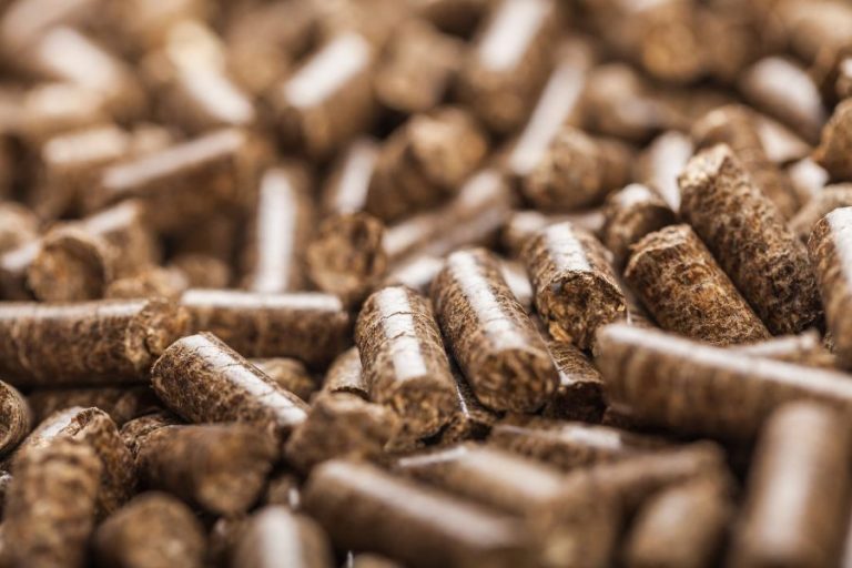 Using Biofuel To Heat Your Home - Knock Knock Heating and Cooling